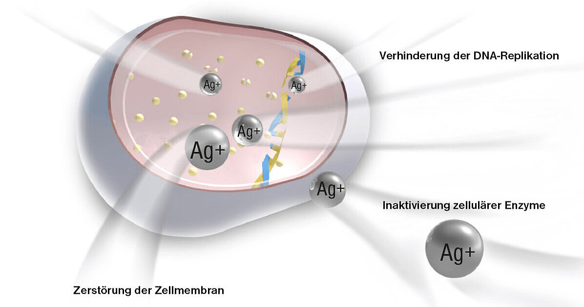 Antibacterial action of microsilver | insights by LAMILUX