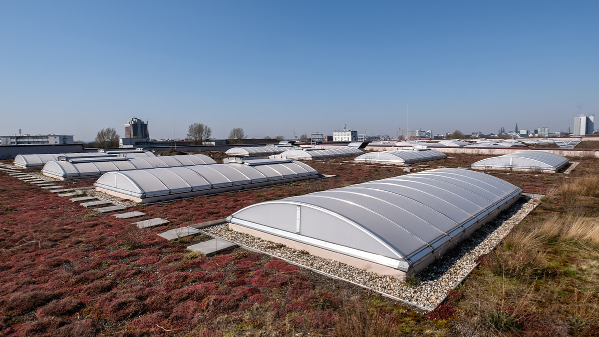 Continuous Rooflight B Arched Design | LAMILUX